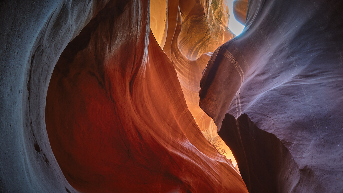 Ken Brown Photography