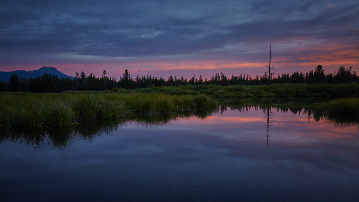 Ken Brown Photography