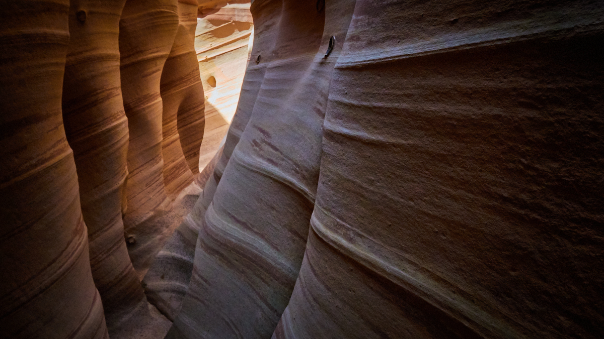 Ken Brown Photography